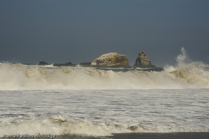 Eco-lodge Punta Patillos