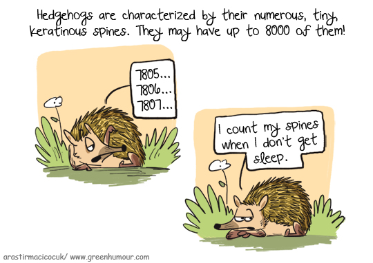 Green Humour: Hedgehog Cartoons for Arastirmaci Cocuk