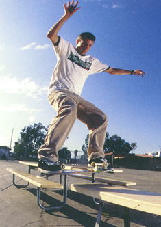 skate: SK8
