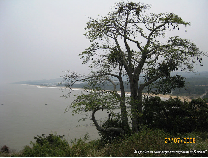 tropicalia: "baía e cidade do enclave de Cabinda"