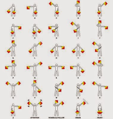 Winding Spiral Case: Things I've Learned: Sinistral Shells, Sweet ...