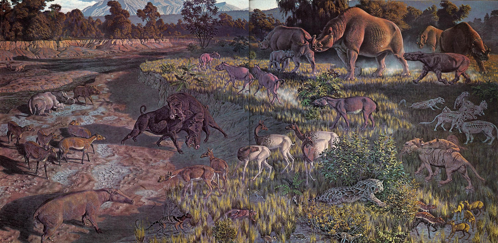 AGATHAUMAS: M'ammalia: gli scenari cenozoici di Jay Matternes