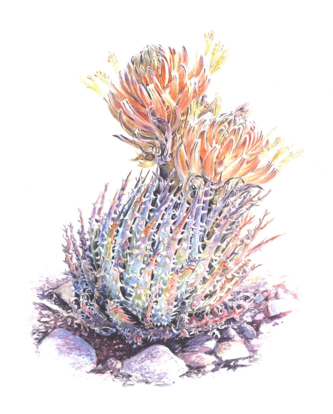 Gerhard Marx: Biography