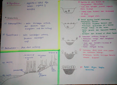 BIOLOGY SKETCH NOTES