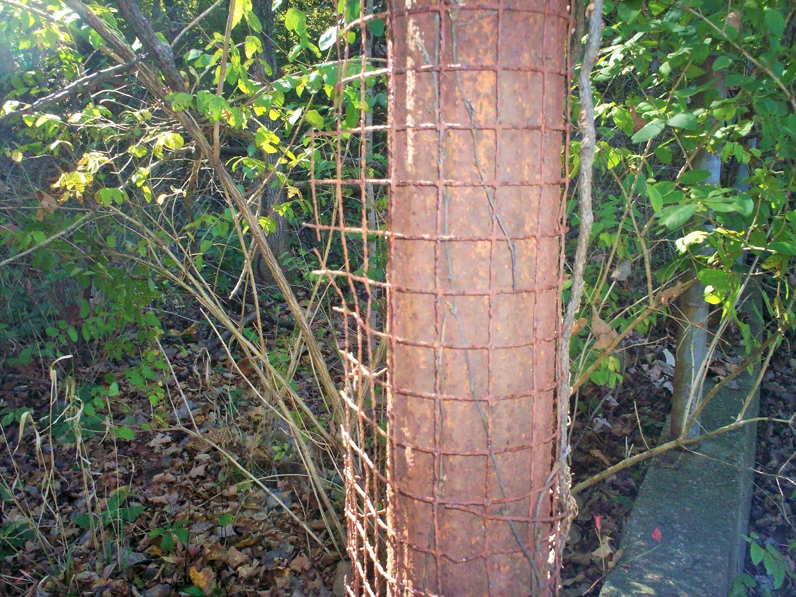 Indiana's Forgotten Past: Jungle Park Speedway