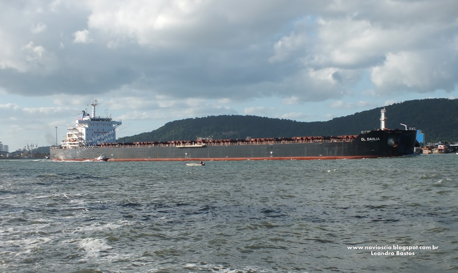 Navios de Santos & CIA: Navio DL DAHLIA