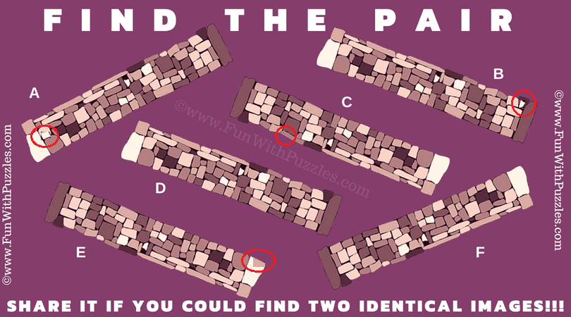 Spot the Match: Challenging Brick Pair Puzzle