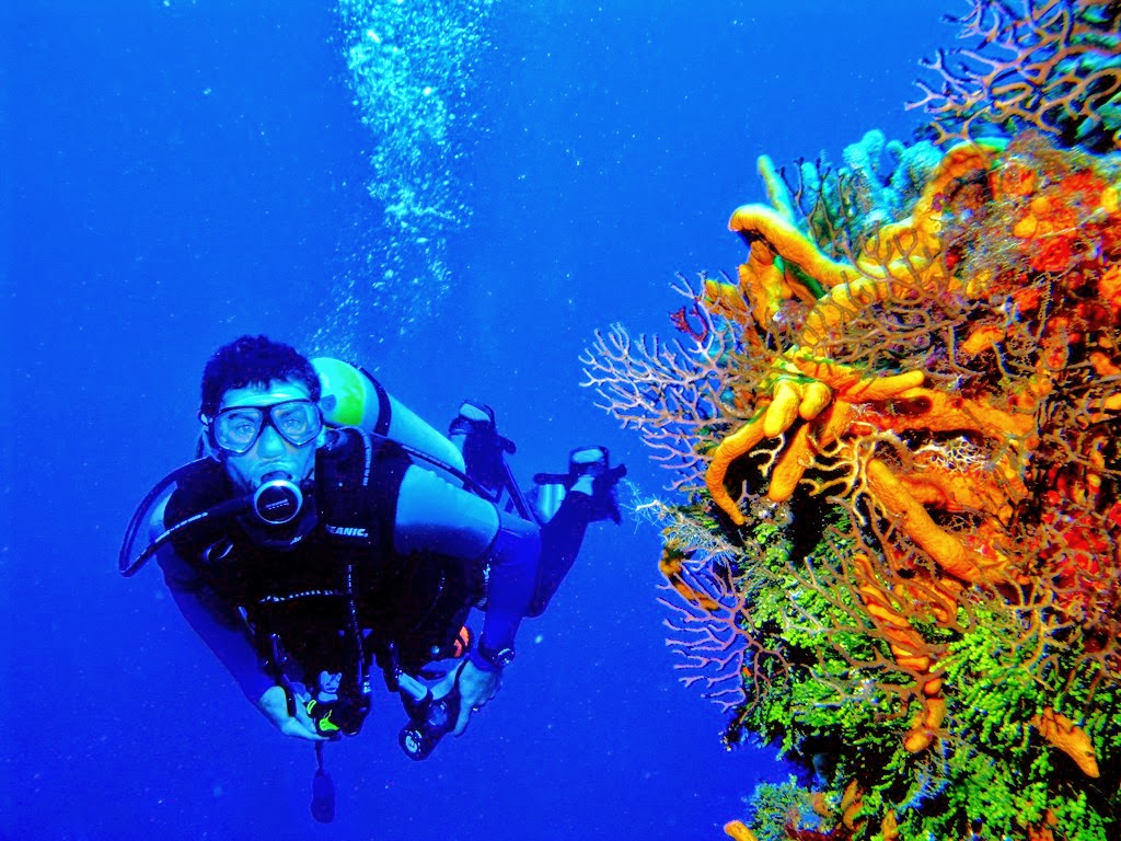 Aliathon Holiday Village Official Blog: Diving Experiences in Cyprus