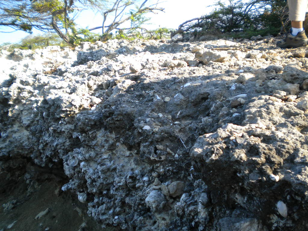 Hiking Curaçao - The Trails: Groot St. Joris