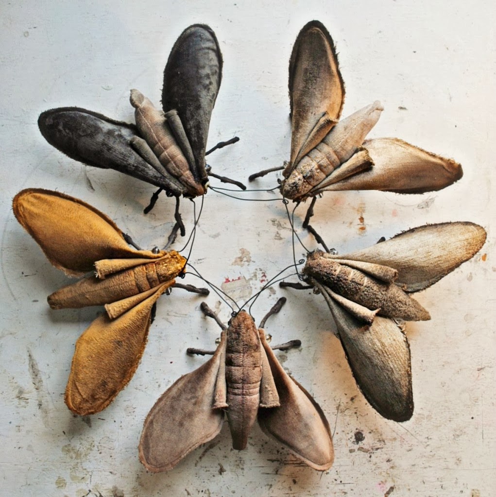 Pani Pieska: wszystkie zwierzęta Pana Fincha