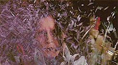 Eye For Design: Decorating With Topiary.....For Your Home And Gardens