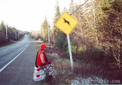 Road Hunting - The Hunting Game