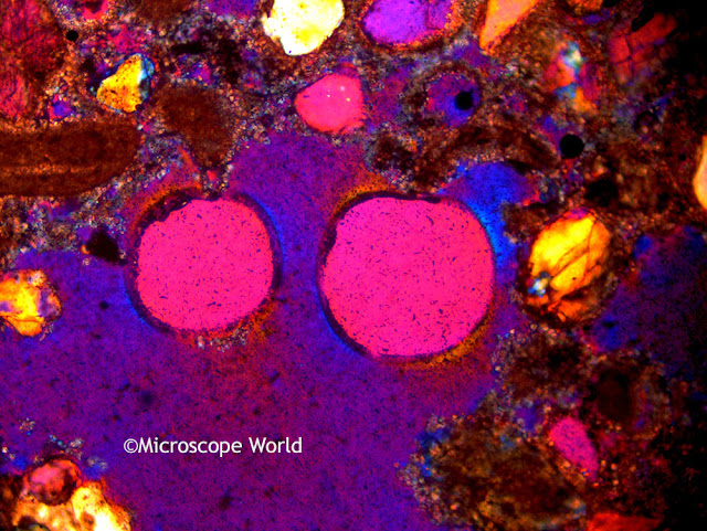 Microscope World Blog: Polarizing Microscope Images
