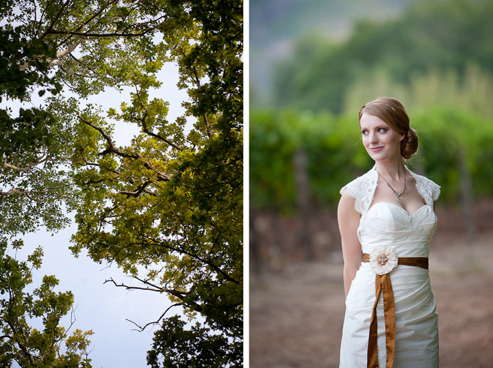 | Taryn Ward Photography: Second shooting: Ross + Rebecca | Holden Manz