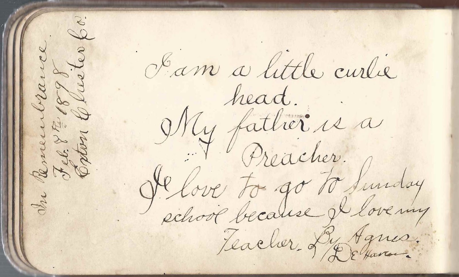 Heirlooms Reunited: 1880s Autograph Album of Susan Sheneman of Chester ...