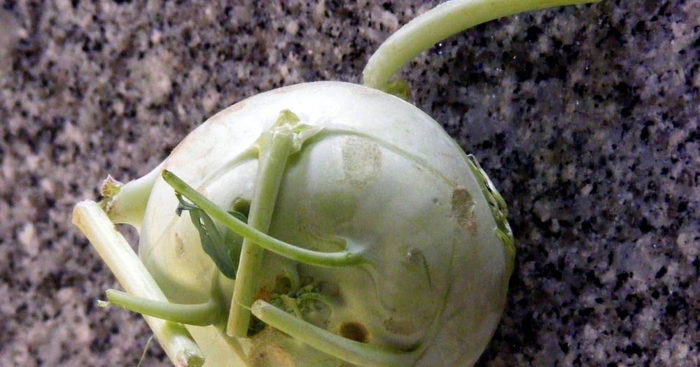 Days on the Claise: What to Do With Kohlrabi