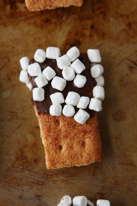 In your back pocket...: S'mores Mini Dippers