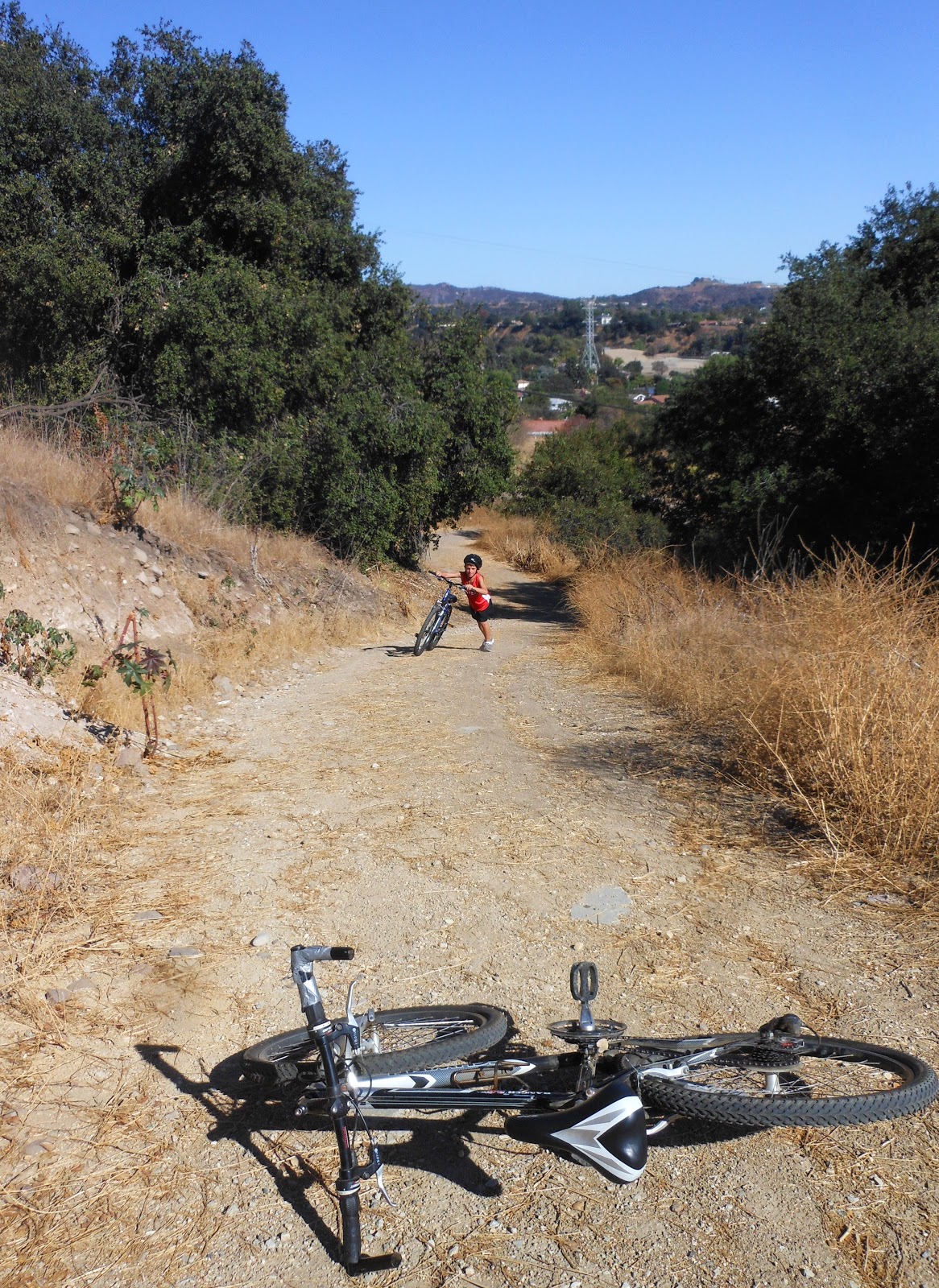 1000 Hikes in 1000 Days: Day 698: San Dimas Canyon Park