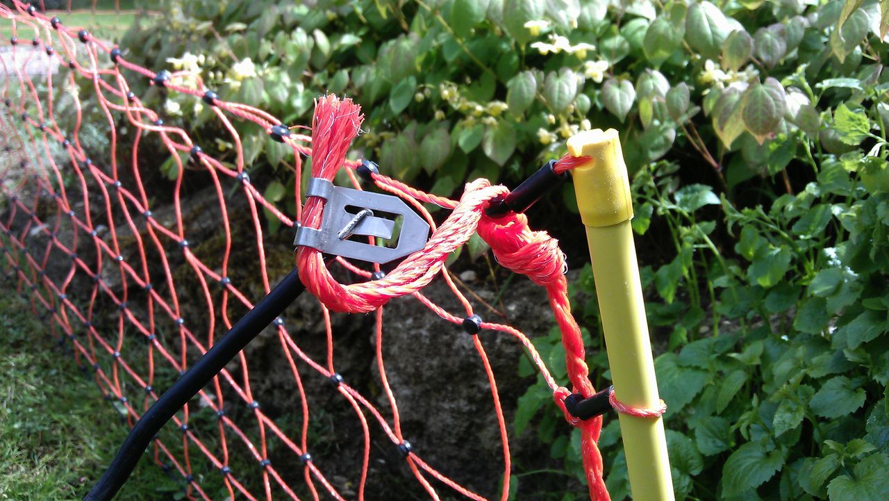 Idyllic Iford: Jumping the gap: one electric fence, two borders...