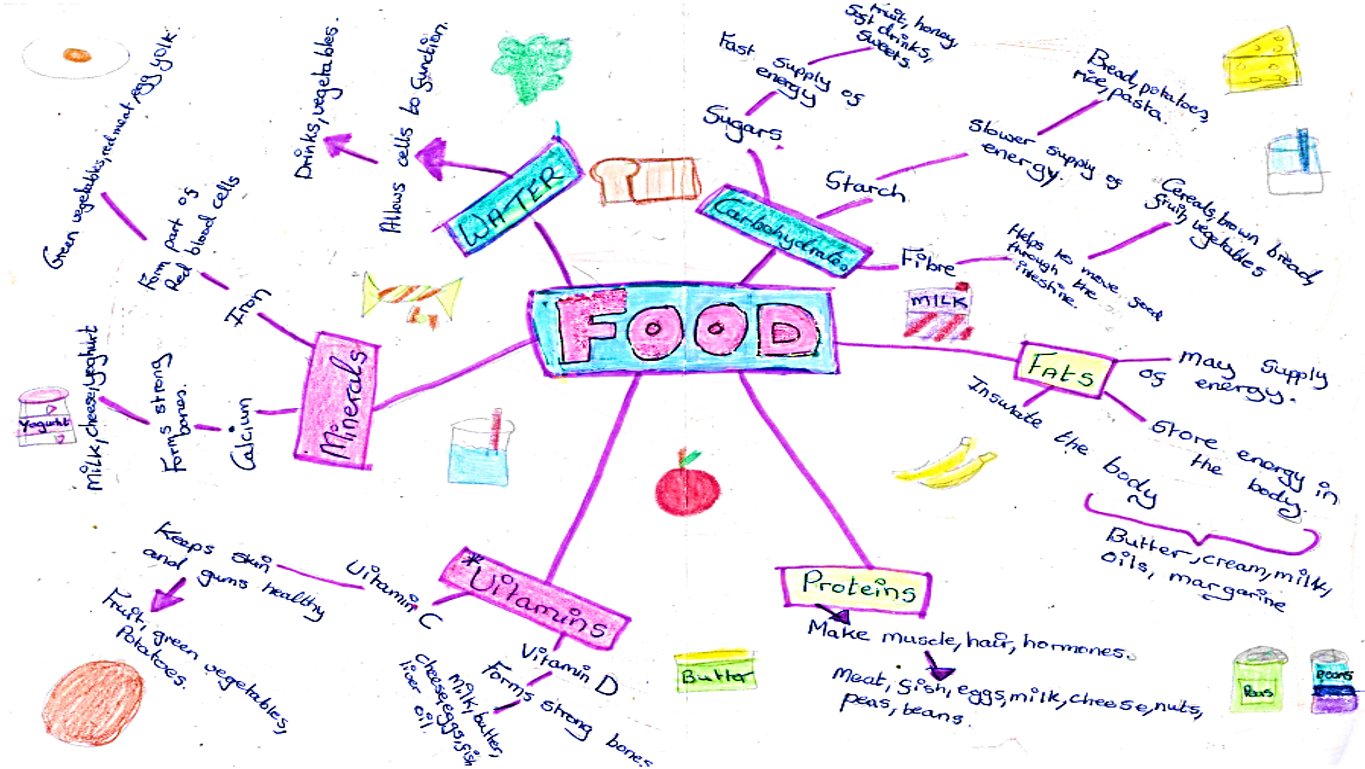 Cobh Scientist: Revising: Food