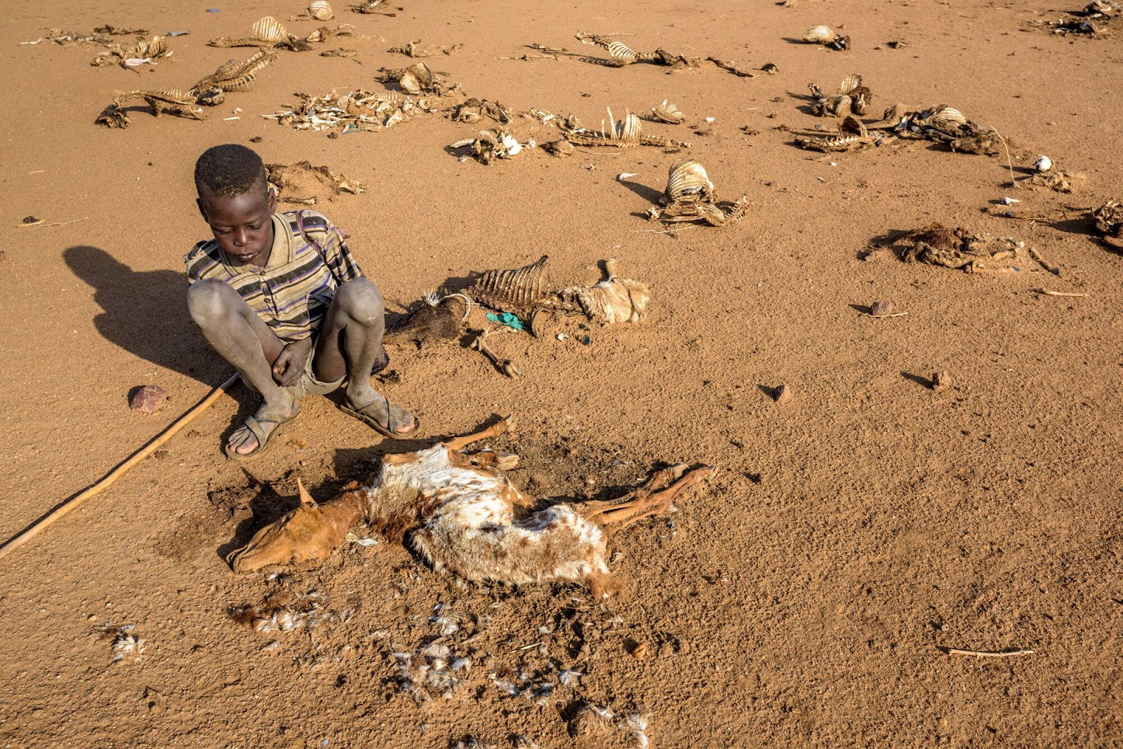 Fasting for the Famine in East Africa and Resources to Take Action