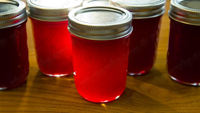 The 3 Foragers: Foraging for Wild, Natural, Organic Food: 2013