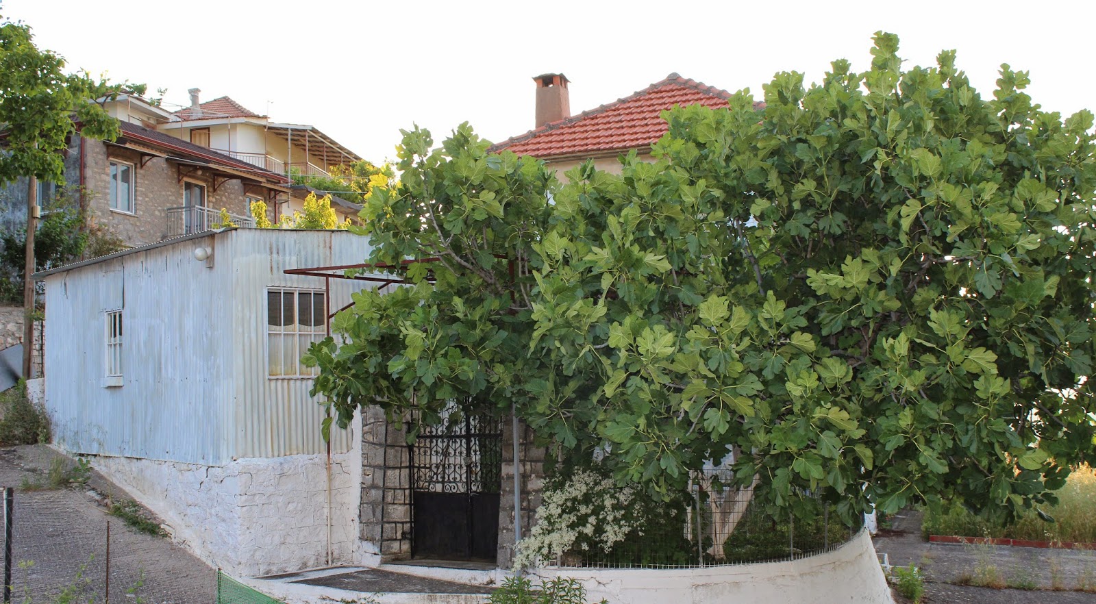 Ο ΕΞΩΡΑΪΣΤΙΚΟΣ ΣΥΛΛΟΓΟΣ ΨΗΛΟΒΡΑΧΟΥ "Η ΖΩΟΔΟΧΟΣ ΠΗΓΗ": ΕΙΚΟΝΕΣ ΑΠΟ ΤΟ ...