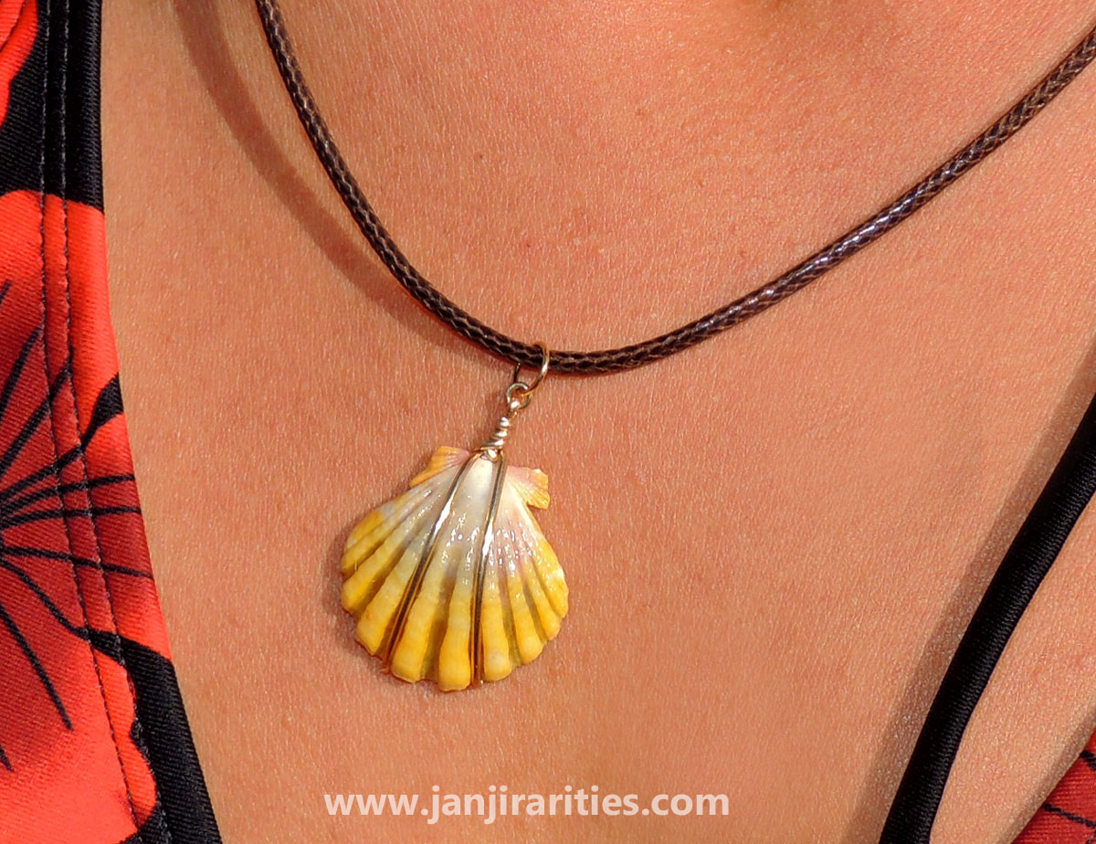 Kahelelani & Sunrise shell jewelry by.... Janjira: May 2013