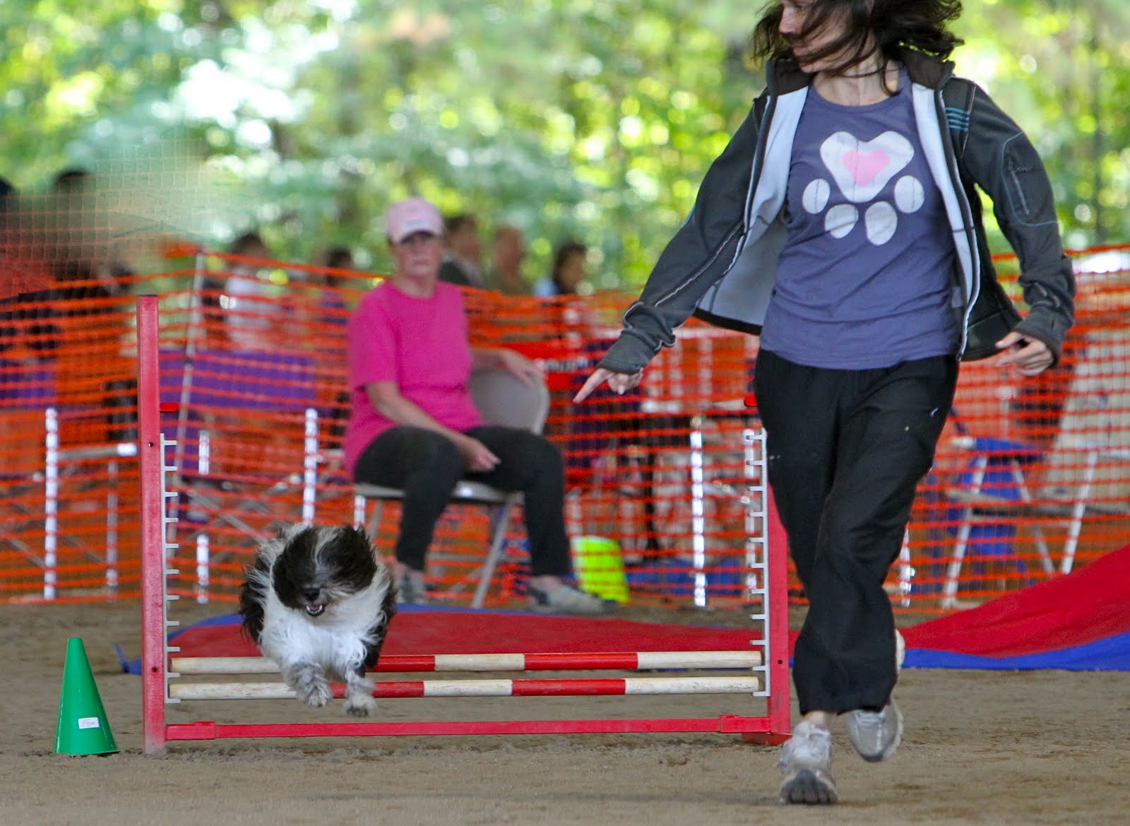 To Dog With Love: Winners of Freaky Dog People t-shirt giveaway