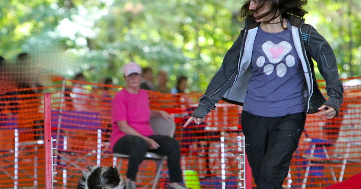 To Dog With Love: Winners of Freaky Dog People t-shirt giveaway