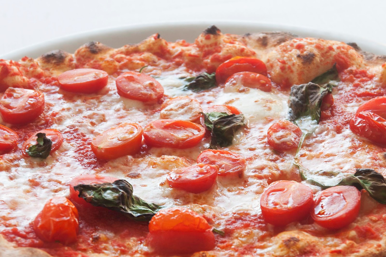 Garbo: GASSA D'AMANTE 2