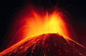 Biolologia la diversidad de la vida: Cuarta extinción masiva: pérmico ...