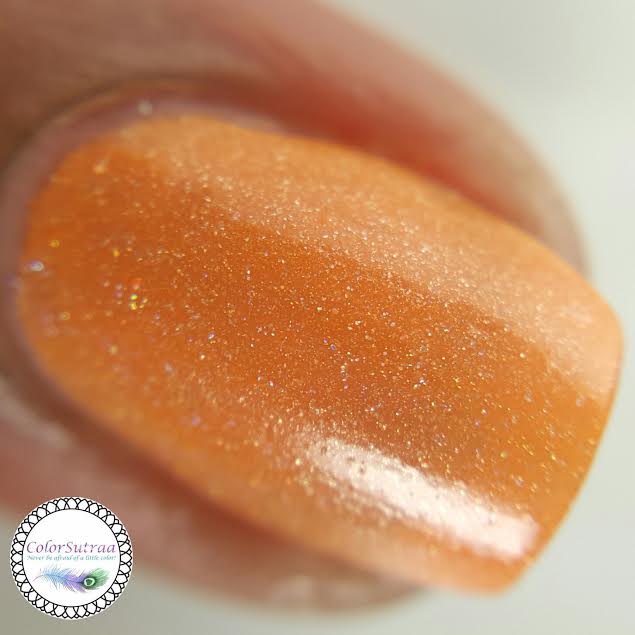 DAINTY DIGITS POLISH Rainbow Gelato collection...plus a BONUS holo ...