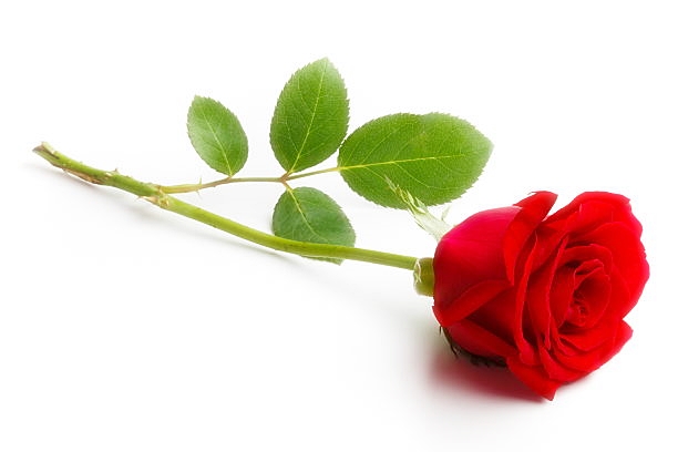 ΓΝΩΜΗ ΚΙΛΚΙΣ ΠΑΙΟΝΙΑΣ: Ο Ερυθρός Σταυρός Κιλκίς, ευχαριστεί από καρδιάς...