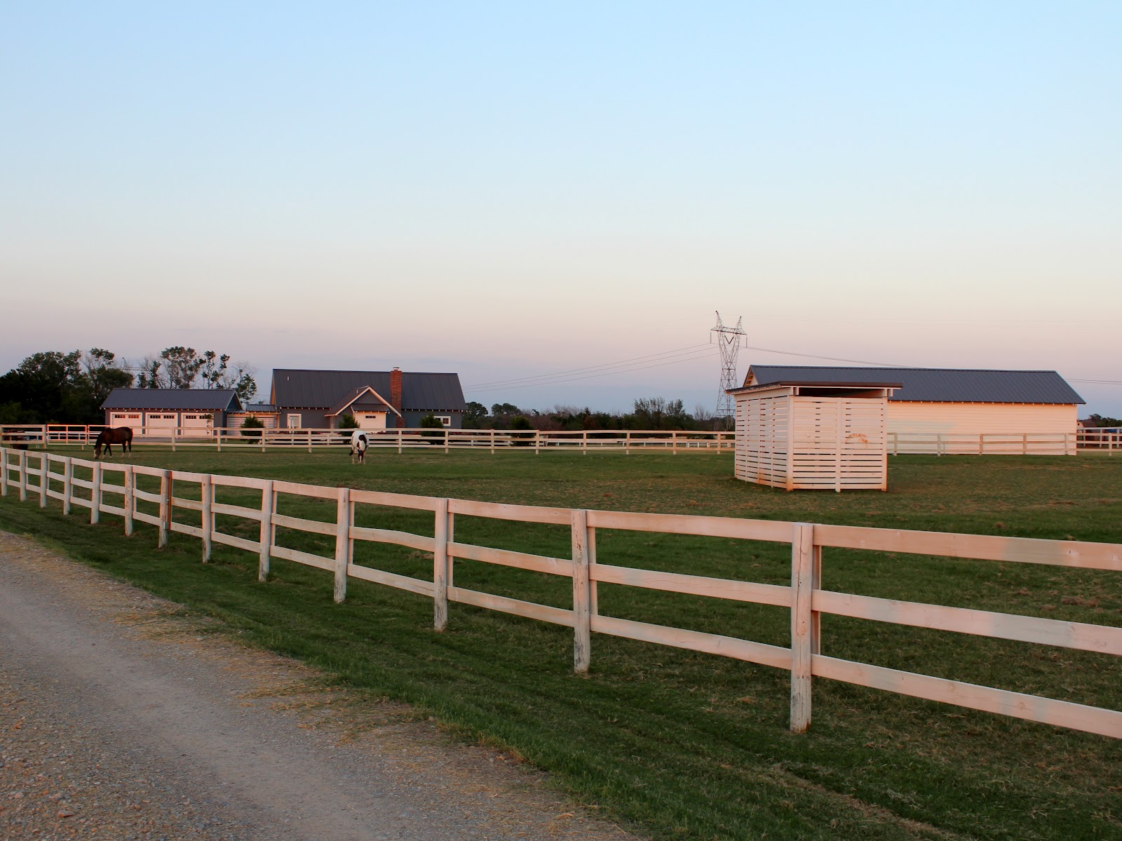 Walk Around the Farm