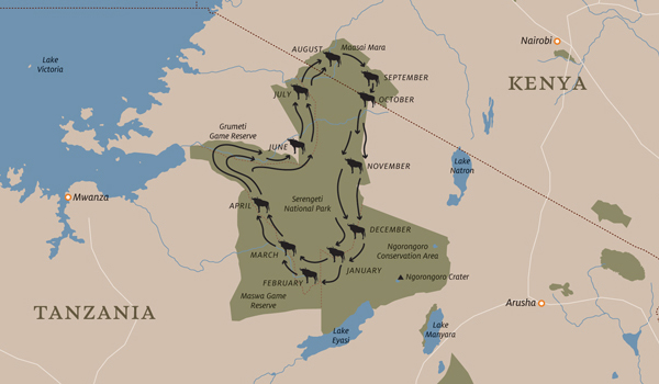 THE GREAT MIGRATION SEASONS IN 2018 - 2019