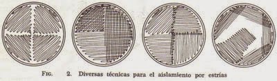 Microbiología: Técnicas y Métodos de estriado en caja y tubo (medios de ...