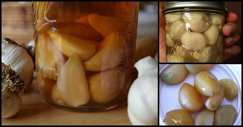 Fermented Garlic: What It Does To Our Body And How To Make This Mixture ...