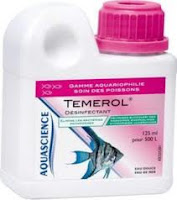 Betta Splendens: Les maladies: L'Exophtalmie