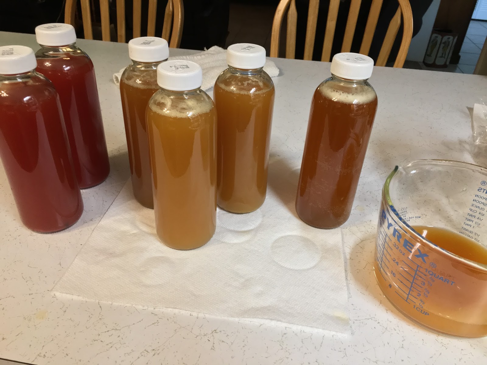 Off the Southern Path: Kombucha: The Super Drink