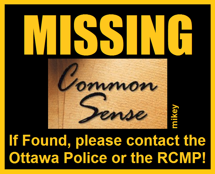 Aunty Harper Graphics by mikey: Missing: Common Sense