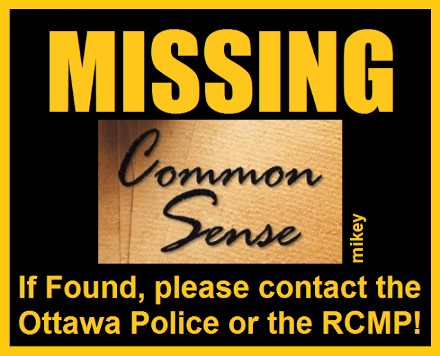 Aunty Harper Graphics by mikey: Missing: Common Sense