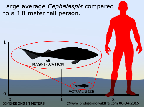 Criaturas del Pasado: Cephalaspis