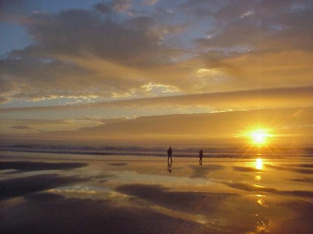 Learning-Living [learning-living.com]: THE STAR THROWER - ORIGINAL ...