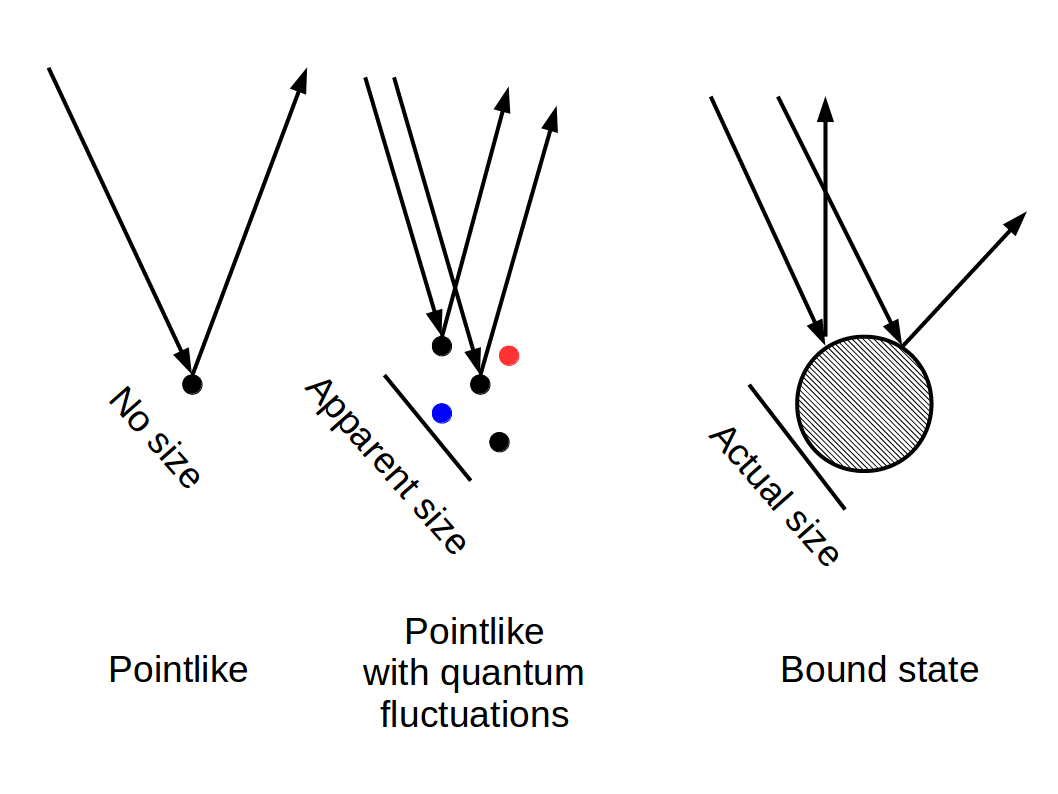 Looking inside the standard model: How large is an elementary particle?