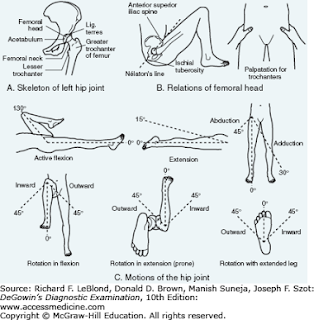 HIP examination proforma for MS DNB ORTHO PRACTICAL EXAM