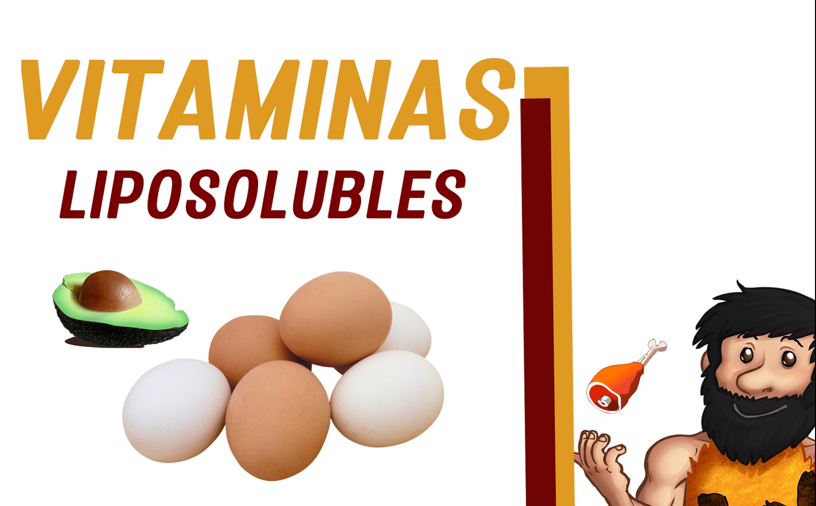joderconleonidas: VITAMINAS LIPOSOLUBLES