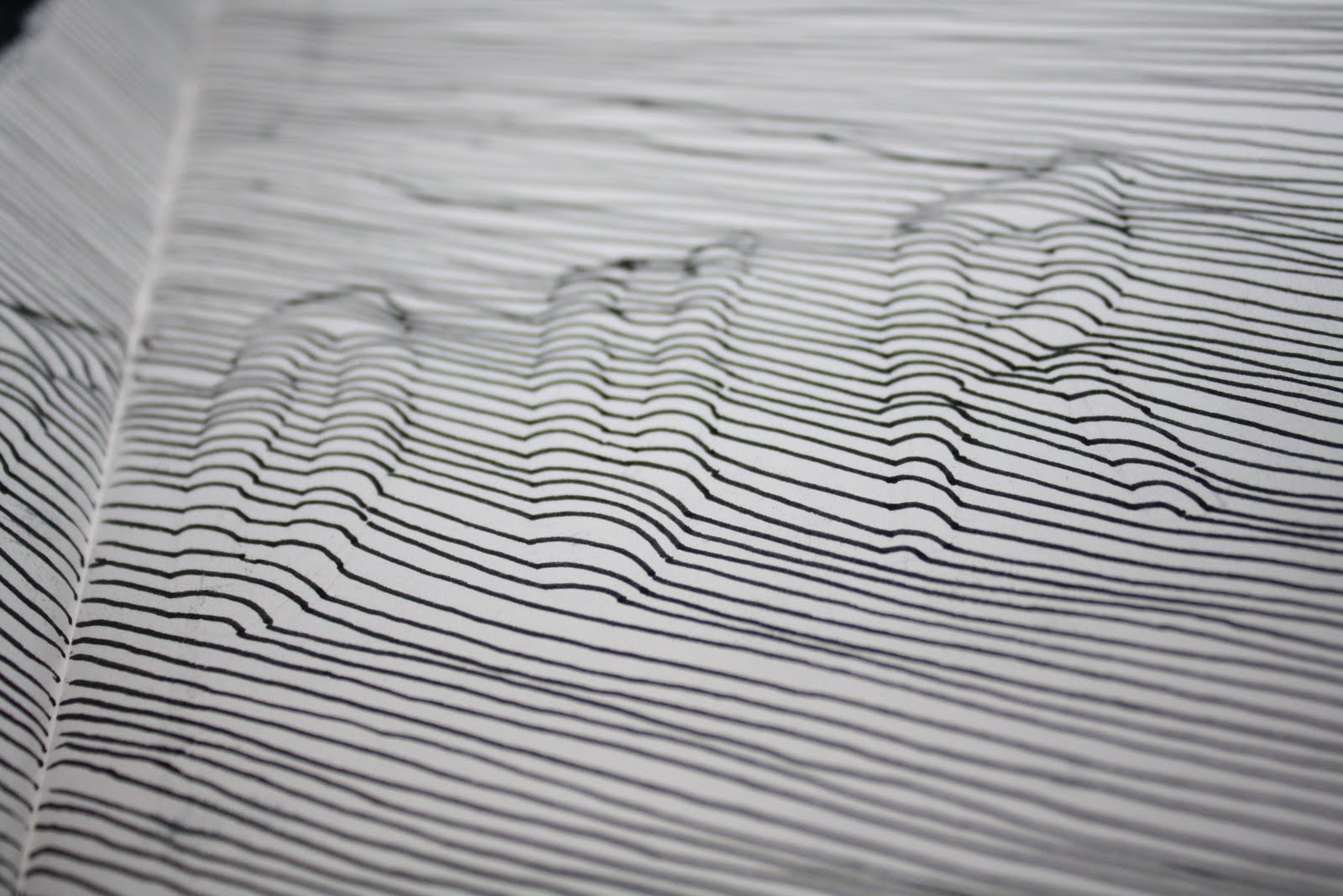 Types of contour lines in art - bandsqery