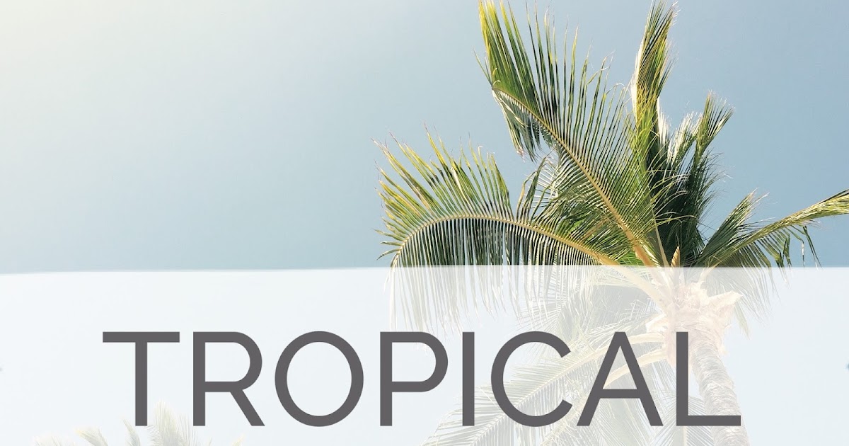 keep it simple, schlossers: Toddler Theme: Tropical