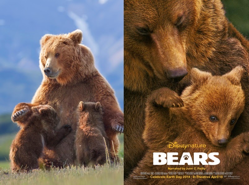 Bonggamom Finds: Disneynature's new film, "Bears" opens Earth Day, April 18